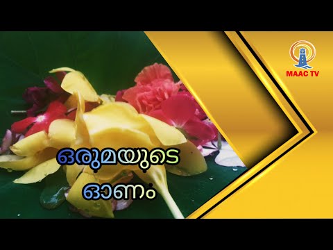 2 MINUTE SHORT FILM COMPETITION | ENTRY NO 15 | MAAC TV