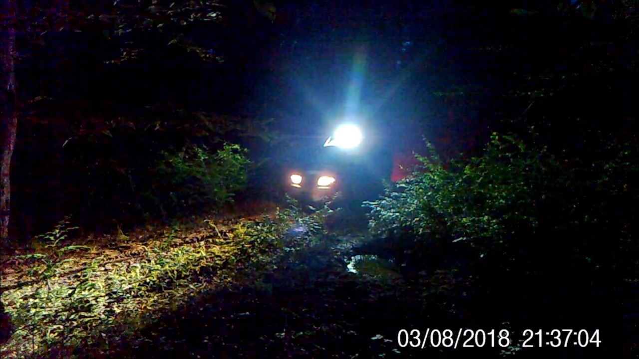 NOAPTEA IN PADURE - YouTube