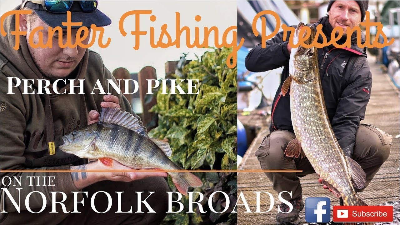 Fanter Fishing- Winter Perch and Pike fishing On the Norfolk Broads ...