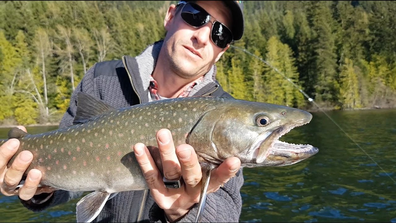 Exclusive Freshwater fishing trips in British Columbia Canada - YouTube