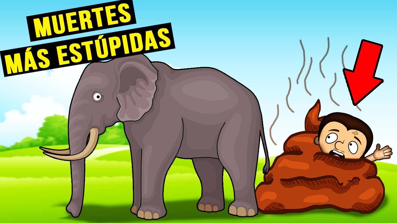 Top muertes más estúpidas de la historia - YouTube