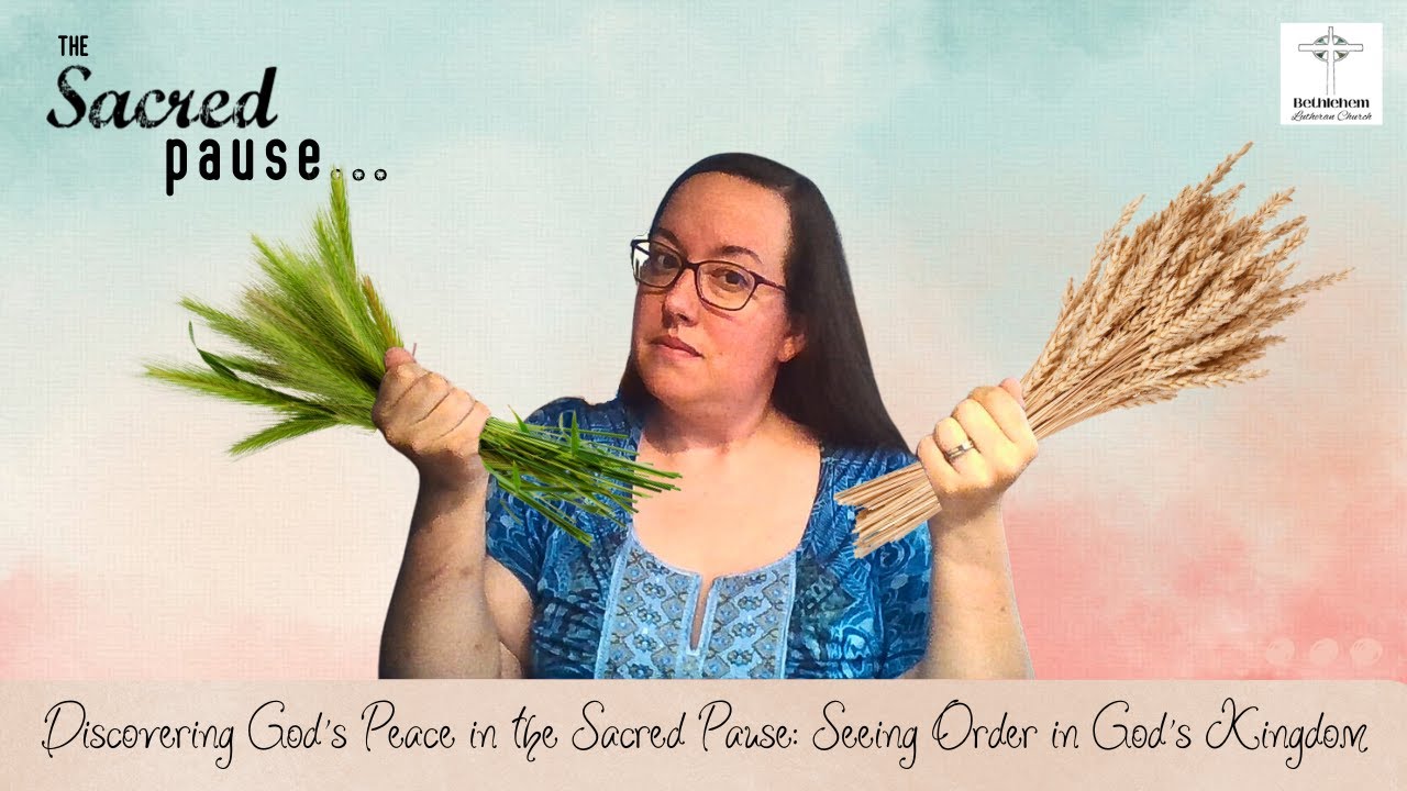 The Sacred Pause: Discovering God's Peace in the Sacred Pause & Seeing ...