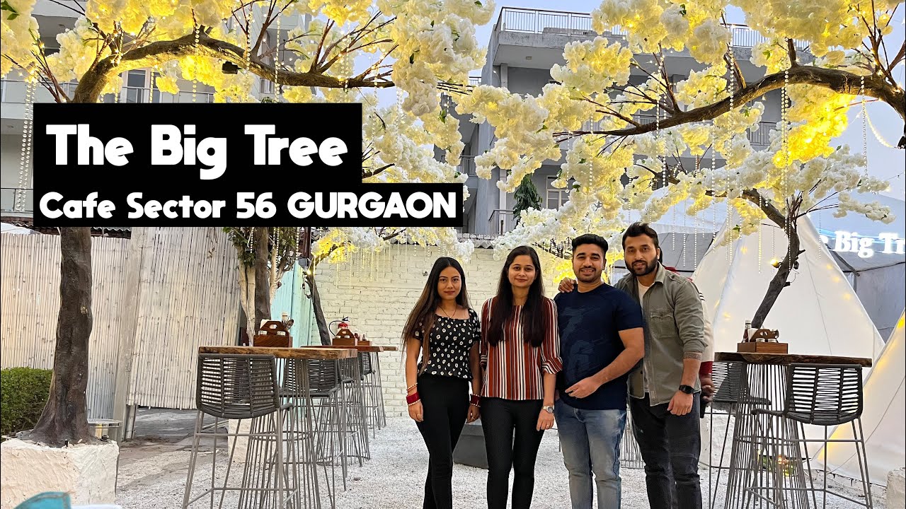 The Big Tree Cafe | Sector 56 | Gurgaon | Shubhniti Vlogs - YouTube