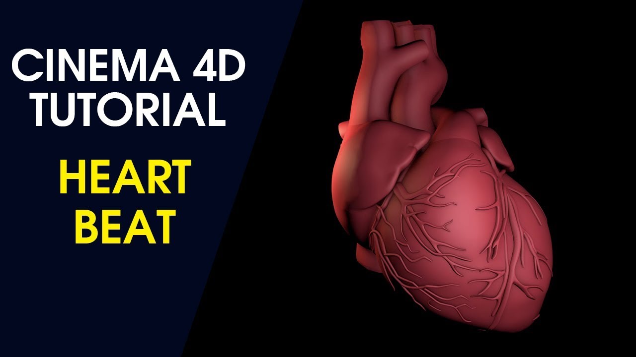 Heart Beat - Cinema 4D Tutorial - YouTube