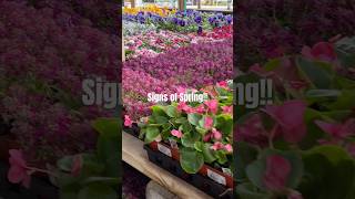 Lots of flowers and plants out at Menards today! We’re so close! #springgarden #zone5b