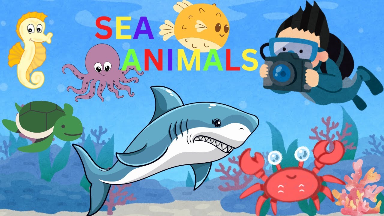 Sea Animals Song | Learn sea animals names with Rhymes | Nursery Rhymes ...
