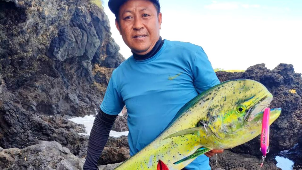 mahi mahi pertama musim ini landed dengan umpan pink @amah_lure 50gr ...