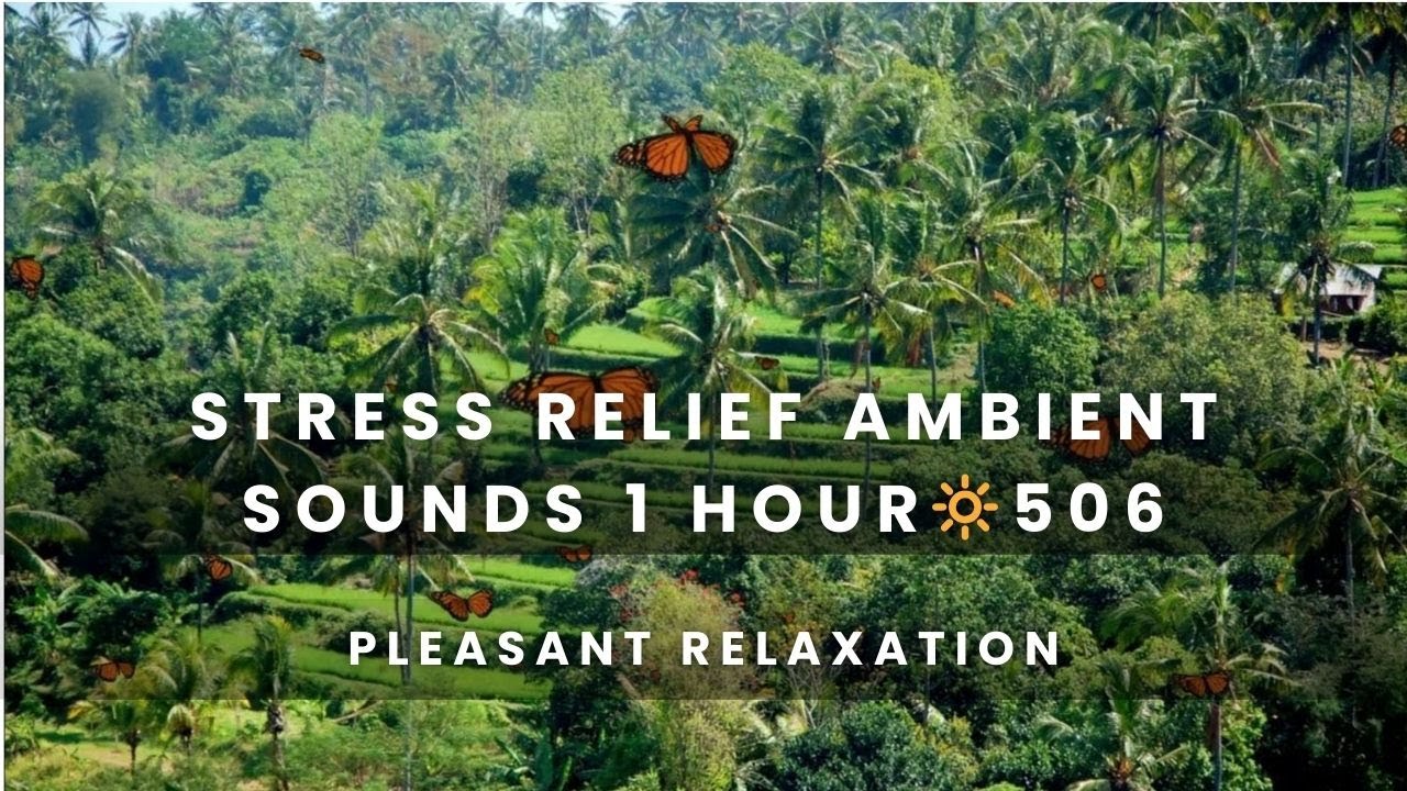 Stress Relief Ambient Sounds 1 Hour 506 - YouTube