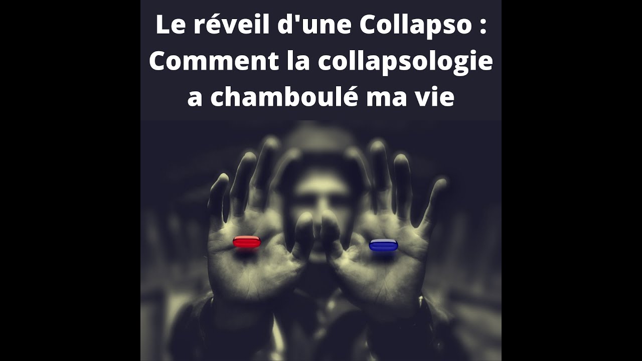 Le réveil d'une Collapso : Comment la collapsologie a chamboulé ma vie ...