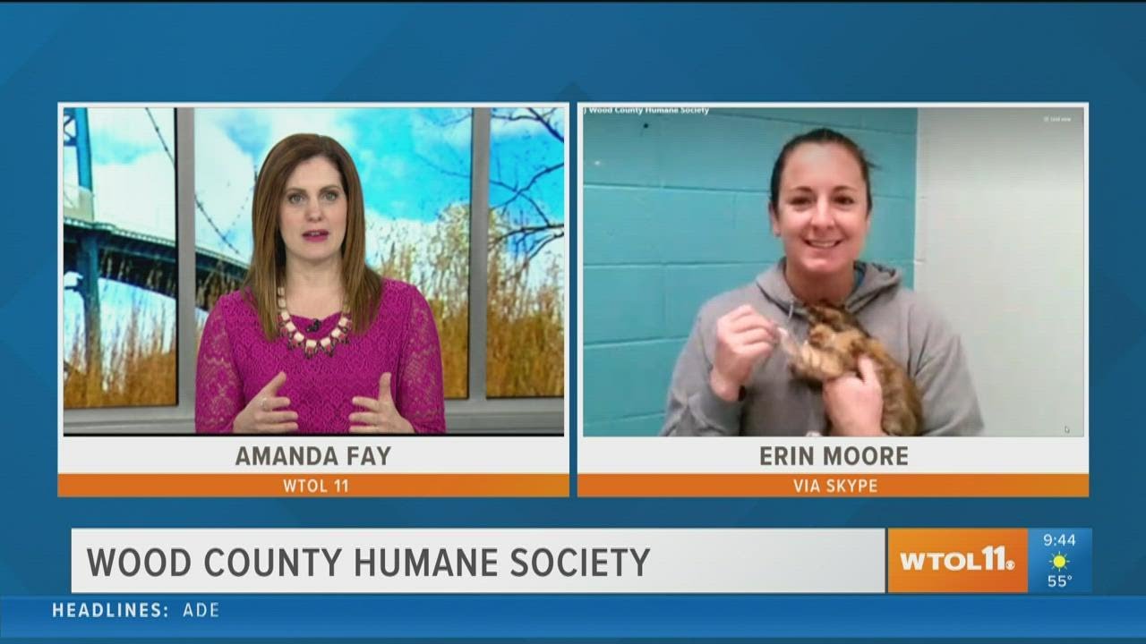 An adoption special and pet calendar from Wood County Humane Society ...