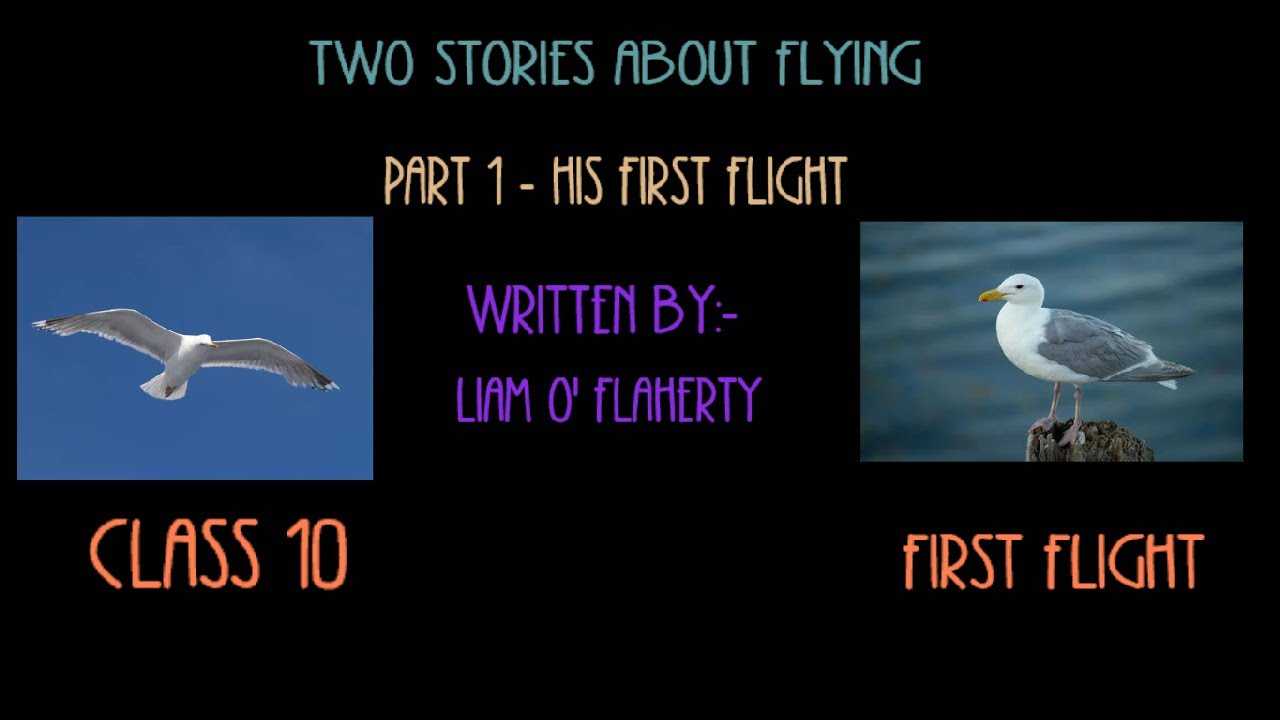 Two stories about flying | Part 1:- His First flight | Liam O' Flaherty ...
