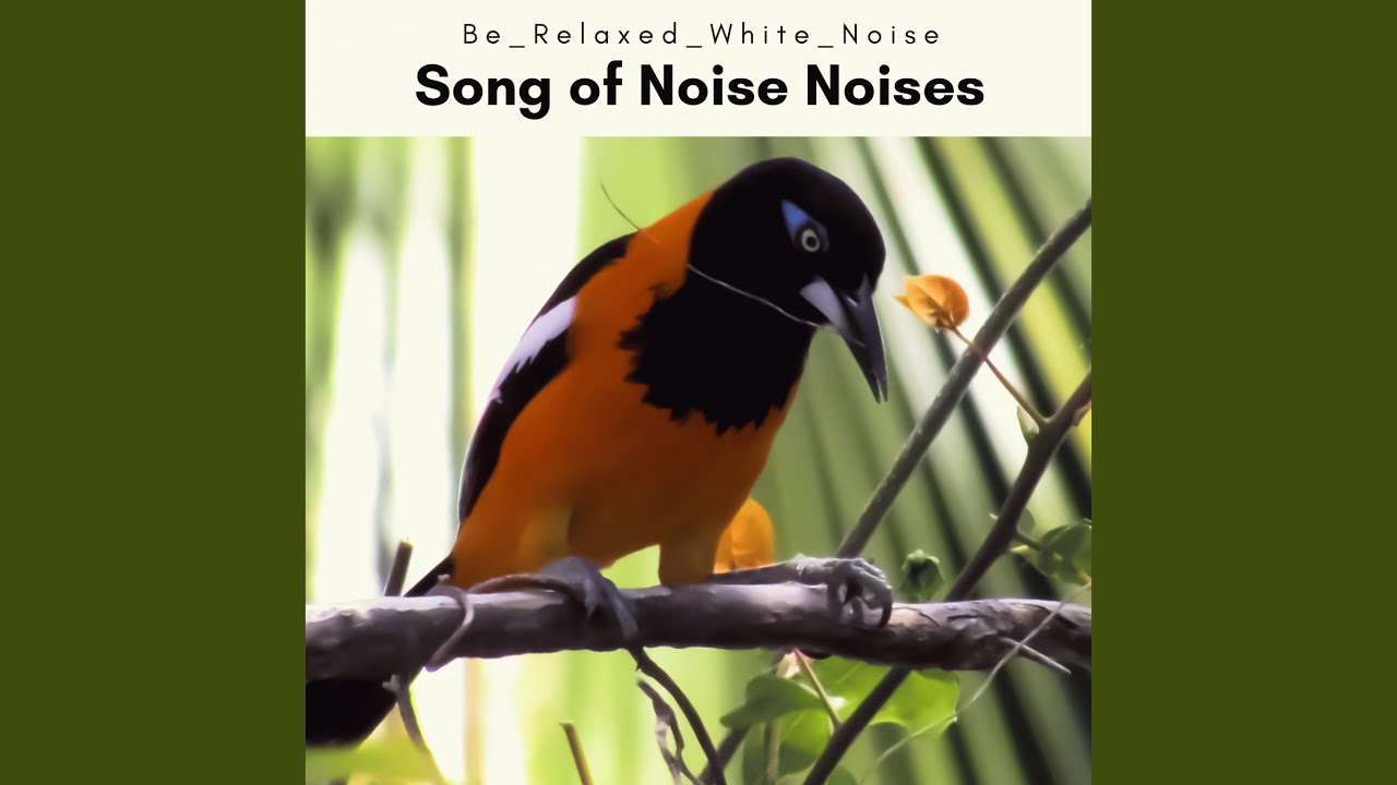 Noise of Wild Noise for Hard Dream - YouTube