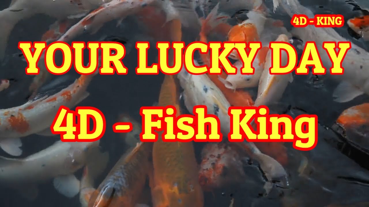 LOTTERY 4D- HUAT AH! - 'KING OF LUCK FISH' - YouTube
