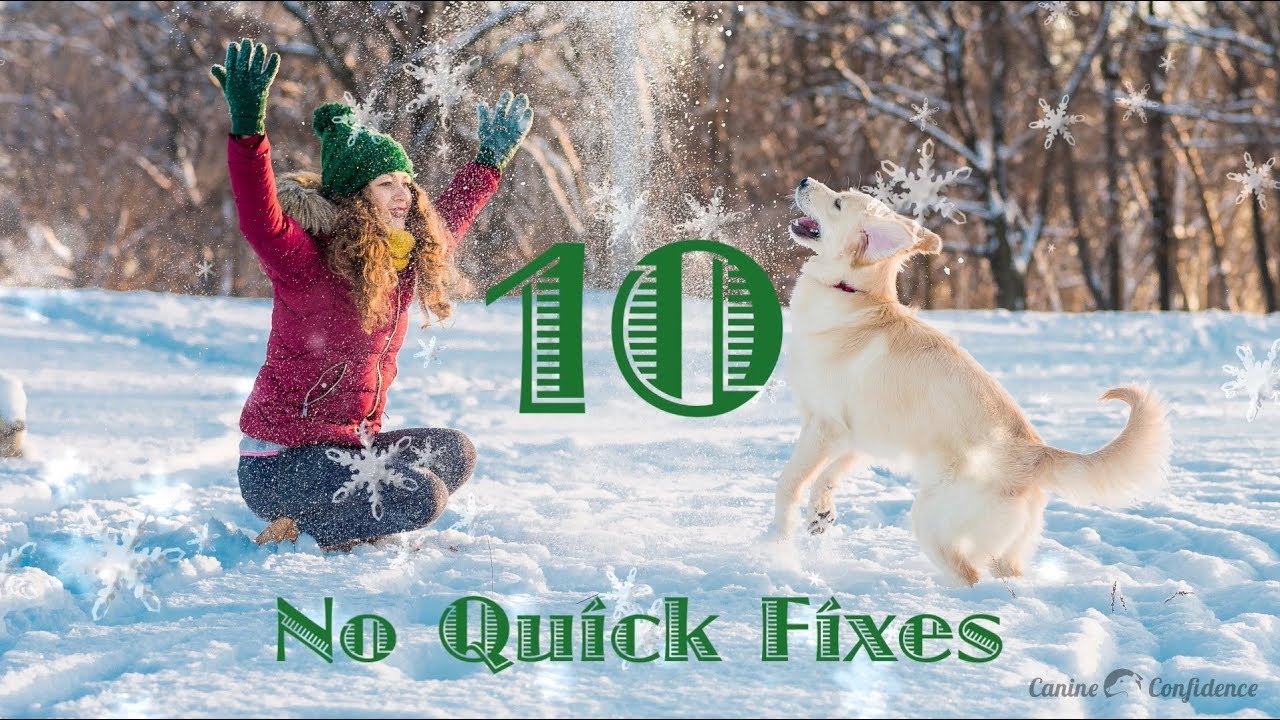 Day 10: No Quick Fixes - YouTube