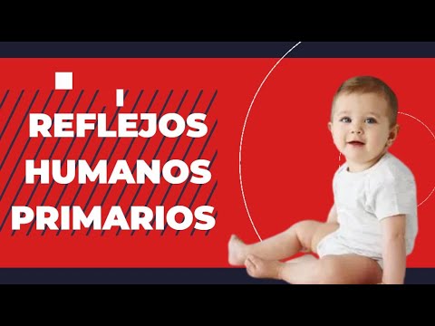 Reflejos humanos primarios - Bebe - YouTube