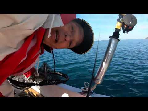 Pesca delle occhiate saraghi e orate sottocosta - YouTube