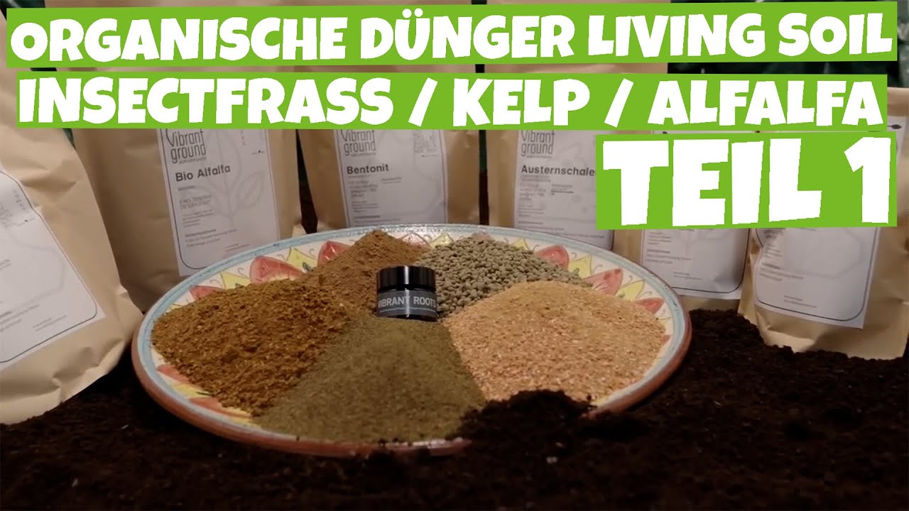 Organische Dünger im LIVING SOIL erklärt! Insectfrass/Kelp/Alfalfa Teil ...