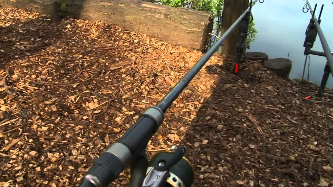 Delta Nt Carp Rods from TF Gear - YouTube
