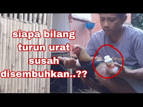 proses penyembuhan setelah turun urat yang cukup parah - YouTube