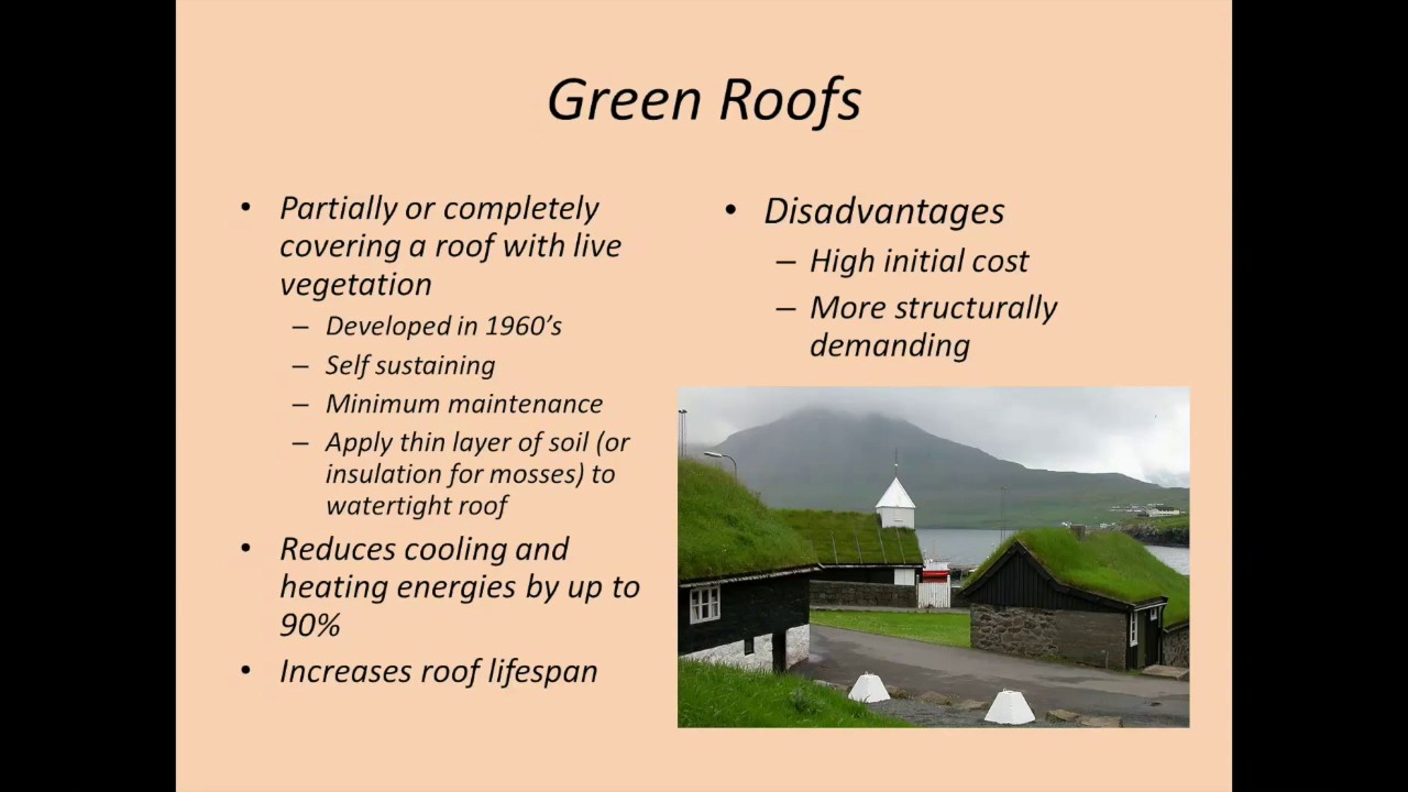 Overpopulation Solutions - YouTube