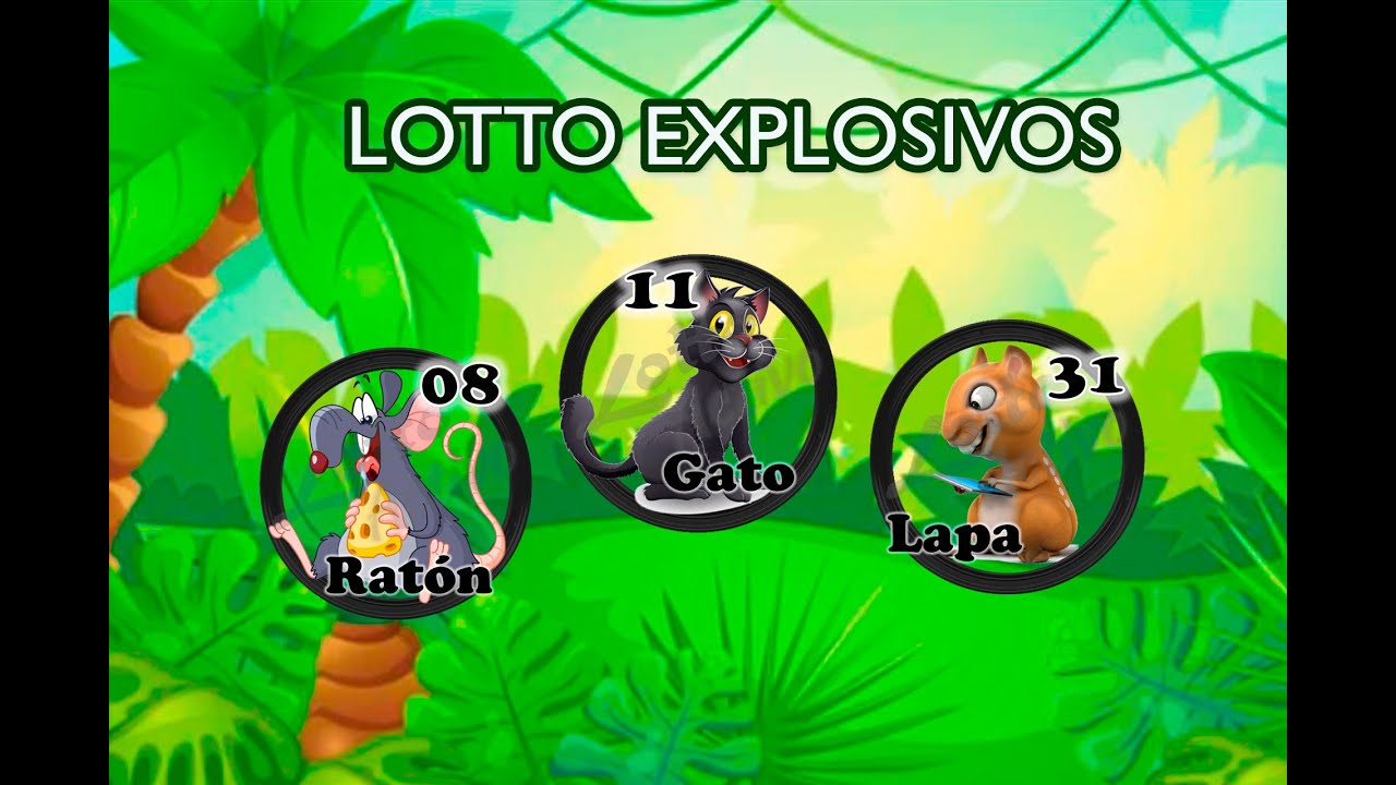 MIERCOLES 08-05-2024 DATOS LOTTO ACTIVO, GRANJITA, GUACHARO, SELVA PLUS ...