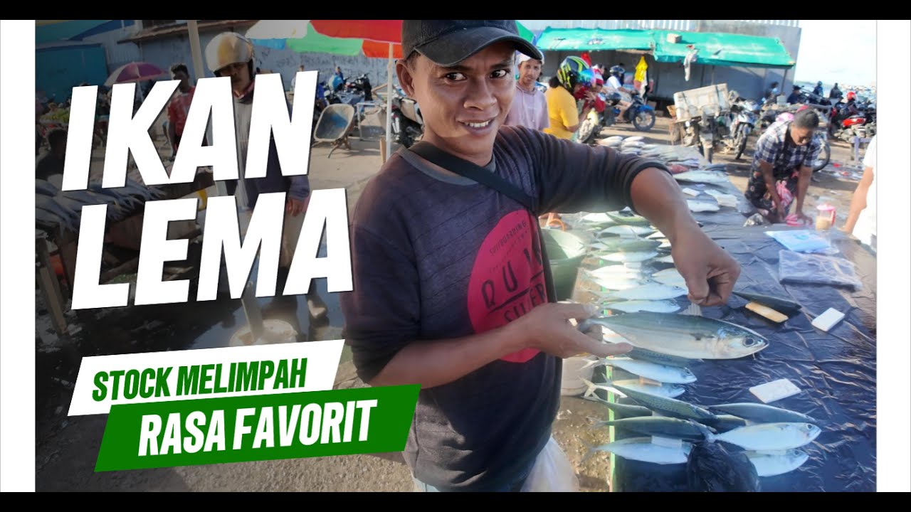 Ikan Lema Melimpah di Pasar Ikan Jembatan Puri. Saksikan Potong Ikan ...
