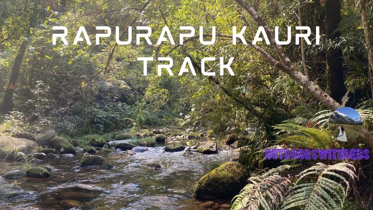 Rapurapu Kauri Track - Waikato, New Zealand - YouTube