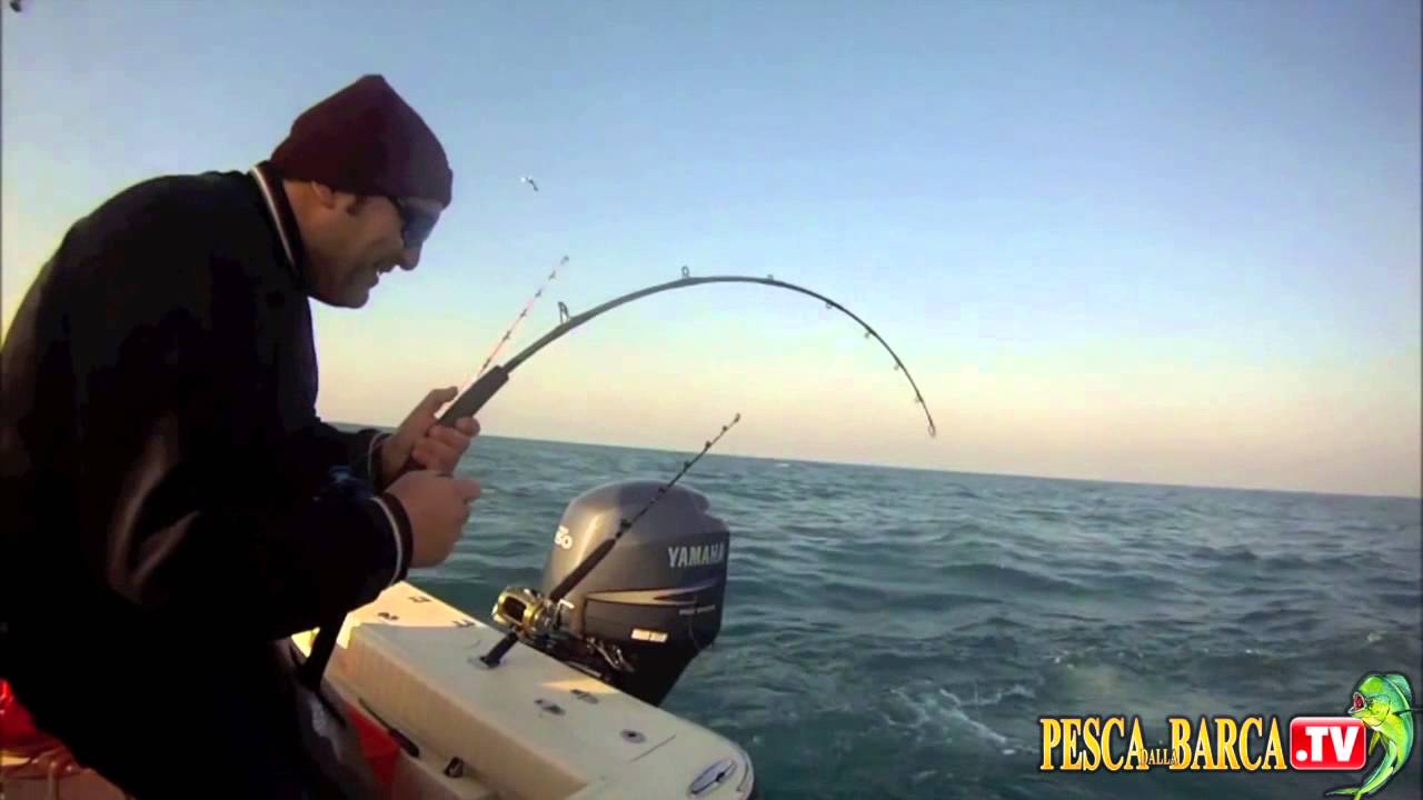 Pescare il tonno in top shot con AL Custom 21 - Pesca Dalla Barca TV ...