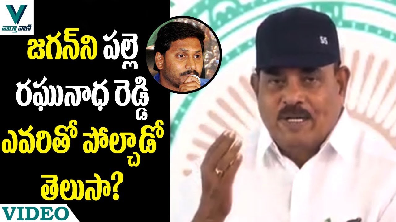 Palle Raghunatha Reddy Comments on YS Jagan and Vijay Sai Reddy ...