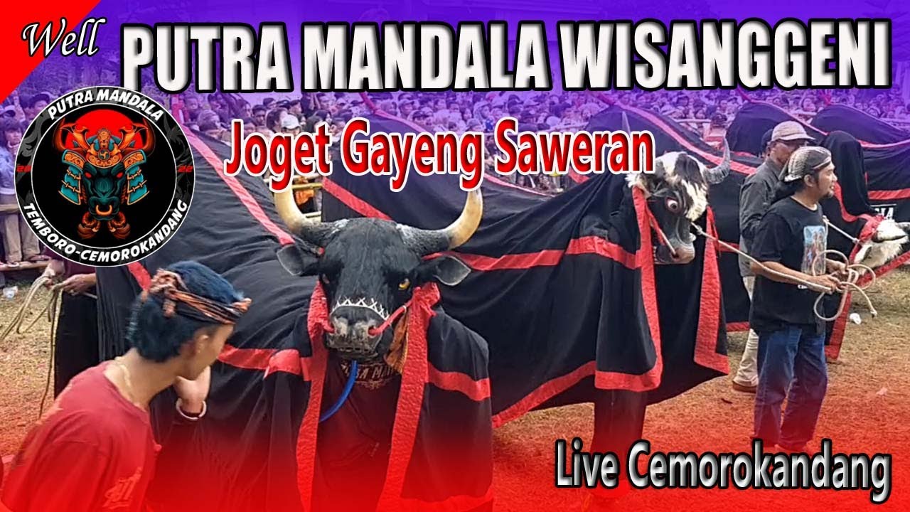 BANTENGAN PUTRA MANDALA WISANGGENI dan CALEG PEMILU | JOGETAN GAYENG ...