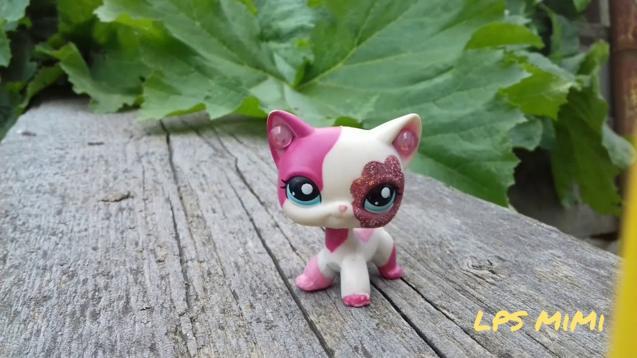 LPS - Moja zbierka SHC | LPS MiMi - YouTube