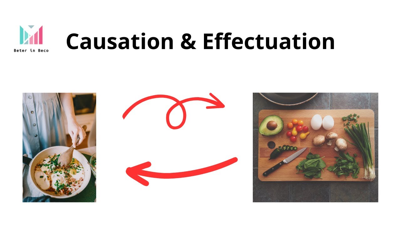 Causation en Effectuation uitleg met oefenexamenvragen Bedrijfseconomie ...