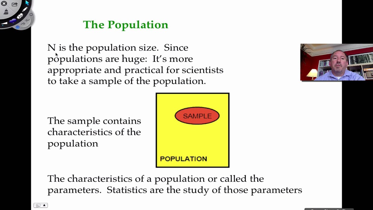 Introduction to Statistics - YouTube