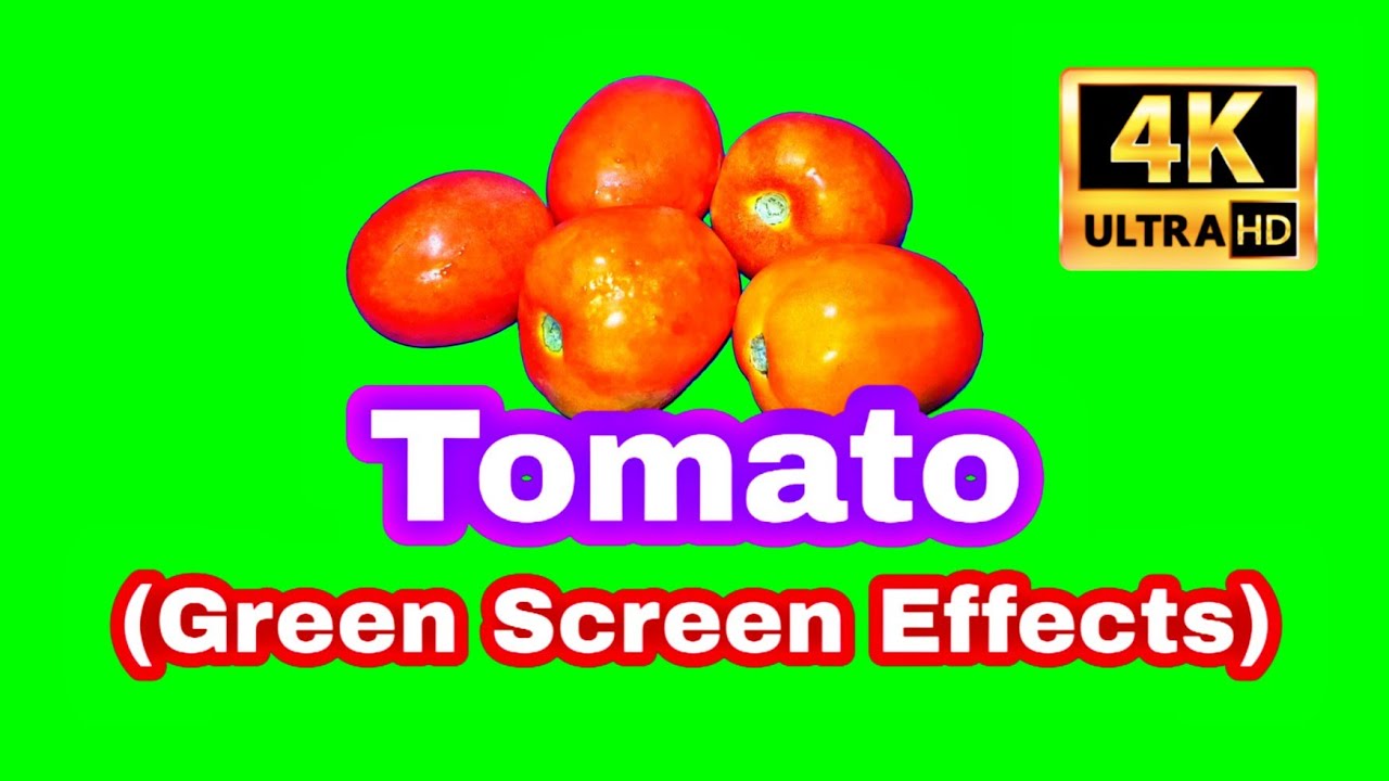 Tomato (Green Screen Effects) 4K - YouTube