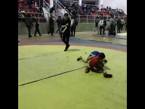 Semkirli Gulesci tunar