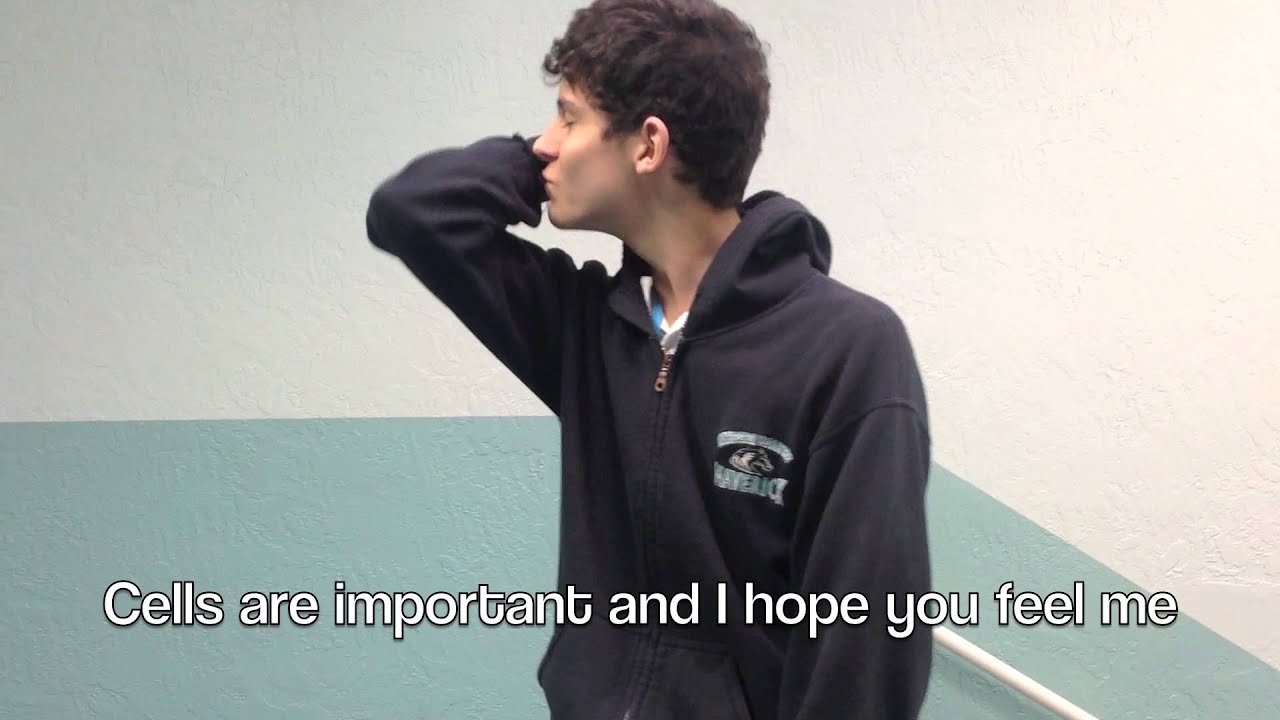 Awesome Cell Rap - YouTube