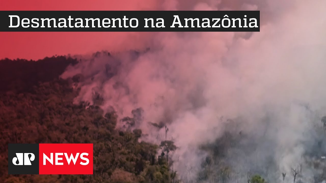 Área desmatada da Amazônia em 2022 é de oito vezes a cidade do Rio de ...