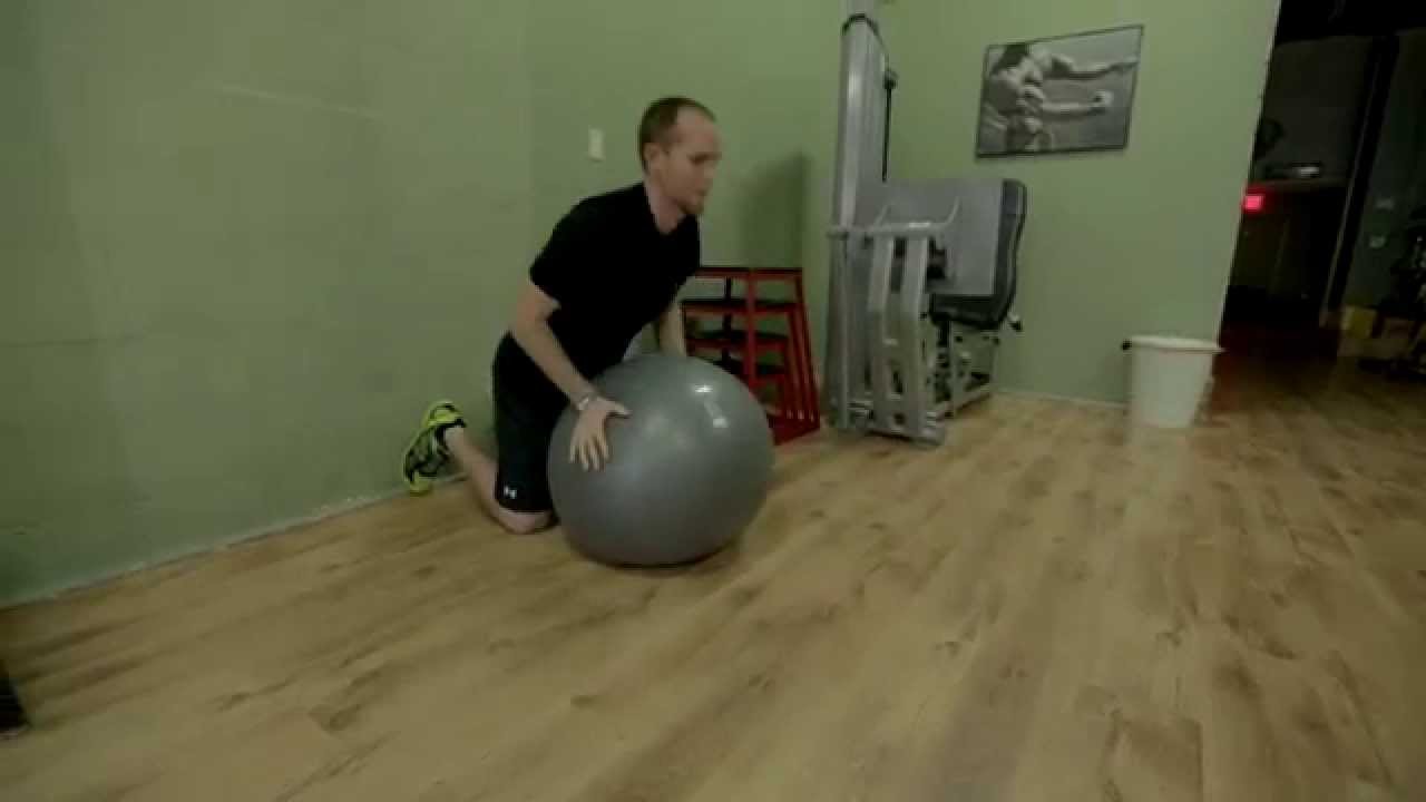 Physioball Back Extension - Exercise Essentials - UltimatePROformance ...