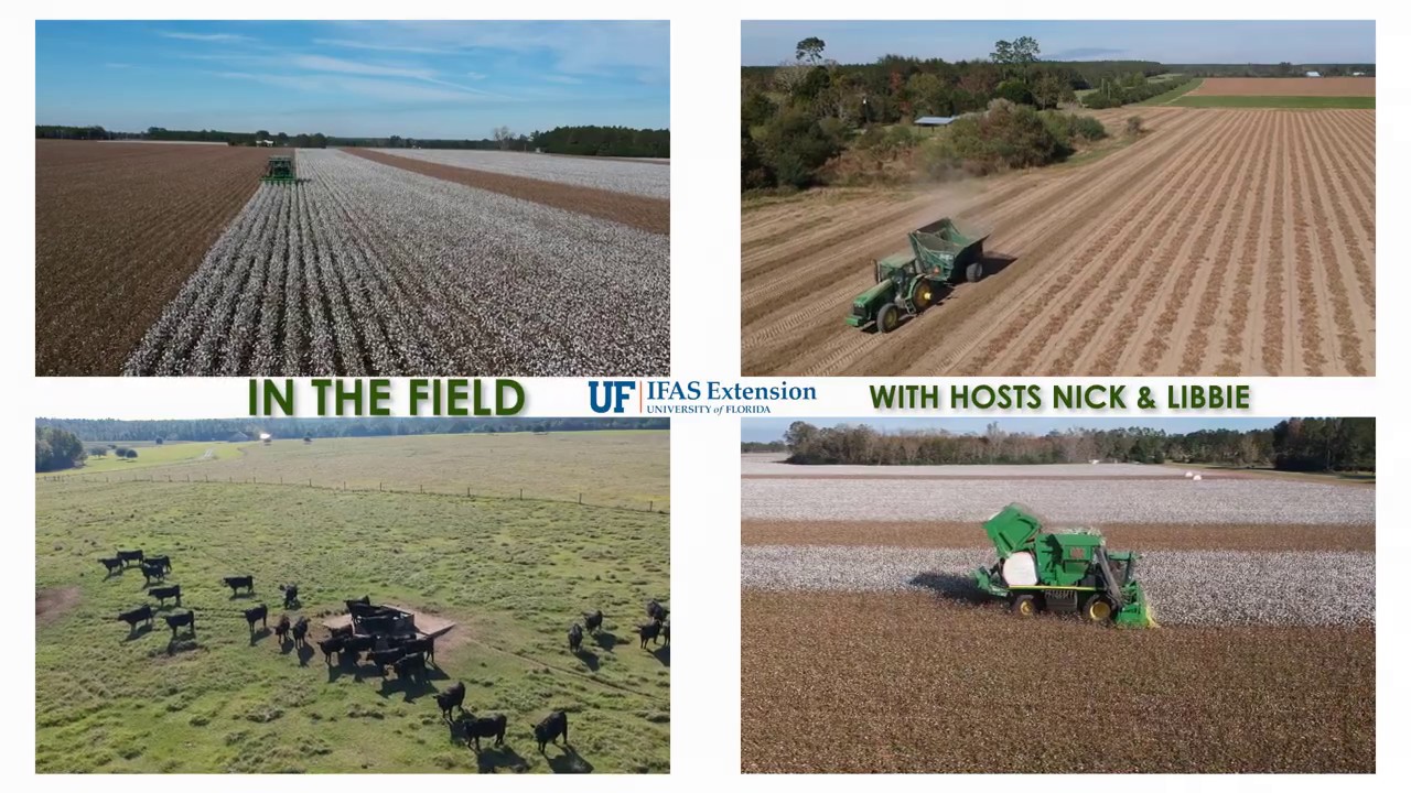 In The Field - Episode 1- Hay sampling for forage quality - YouTube