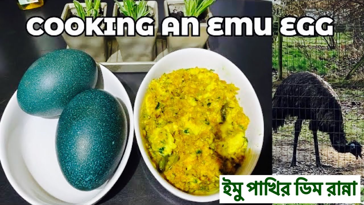 Emu Egg Recipe /ইমু পাখির ডিম রান্না /Benu’s World Belgium - YouTube