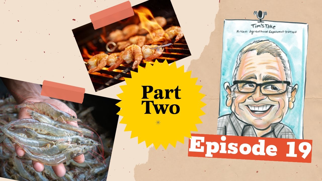 Tim's Take Episode 19 | Aquaculture with David Brune Part Two - YouTube