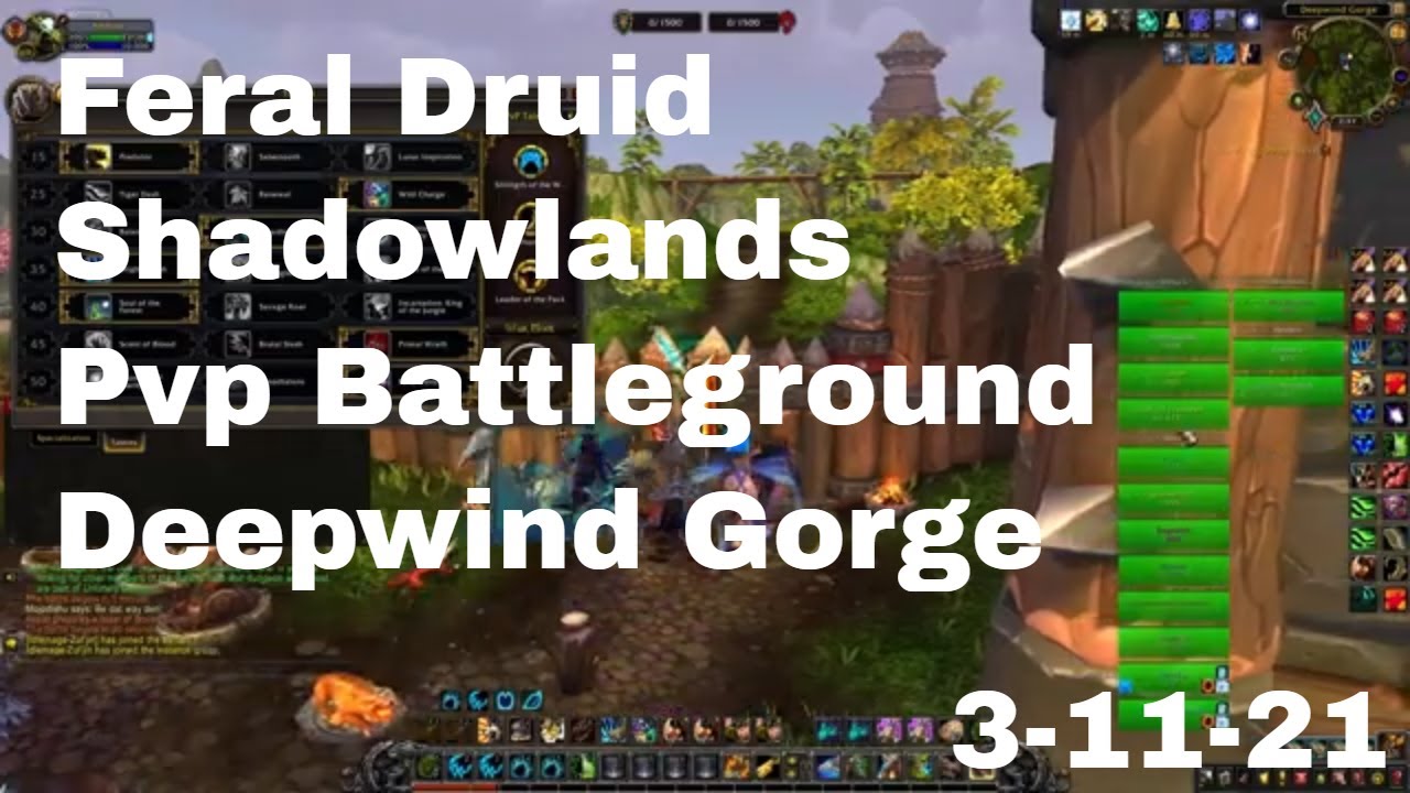 World of Warcraft Shadowlands Feral Druid Pvp Battleground, Deepwind ...