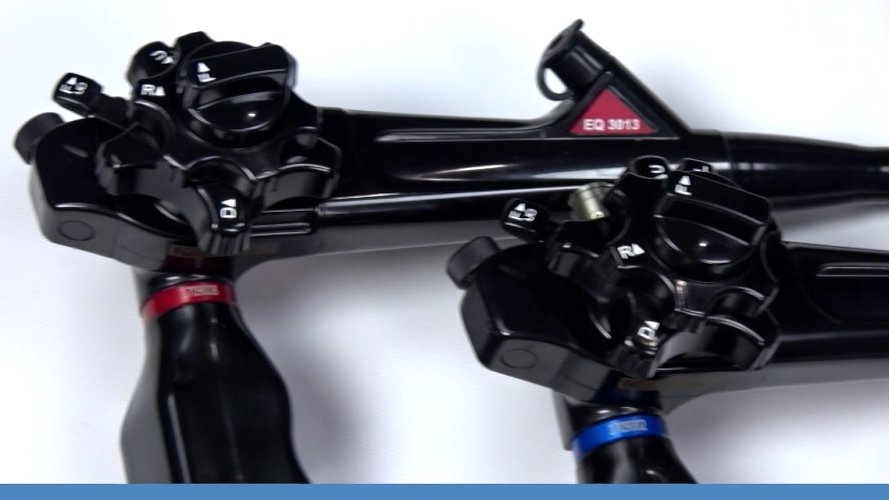 Endo-i Veterinary Endoscopes Overview - YouTube