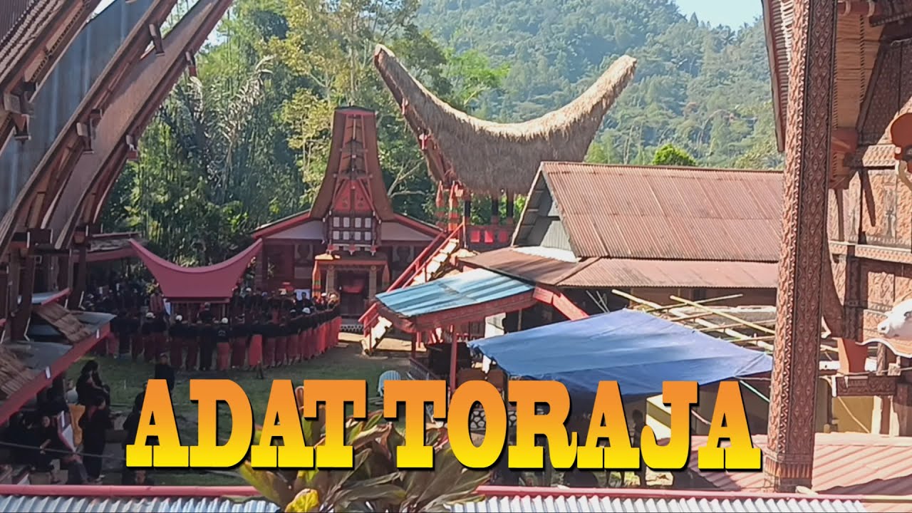 RAMBU SOLO..ADAT TORAJA - YouTube