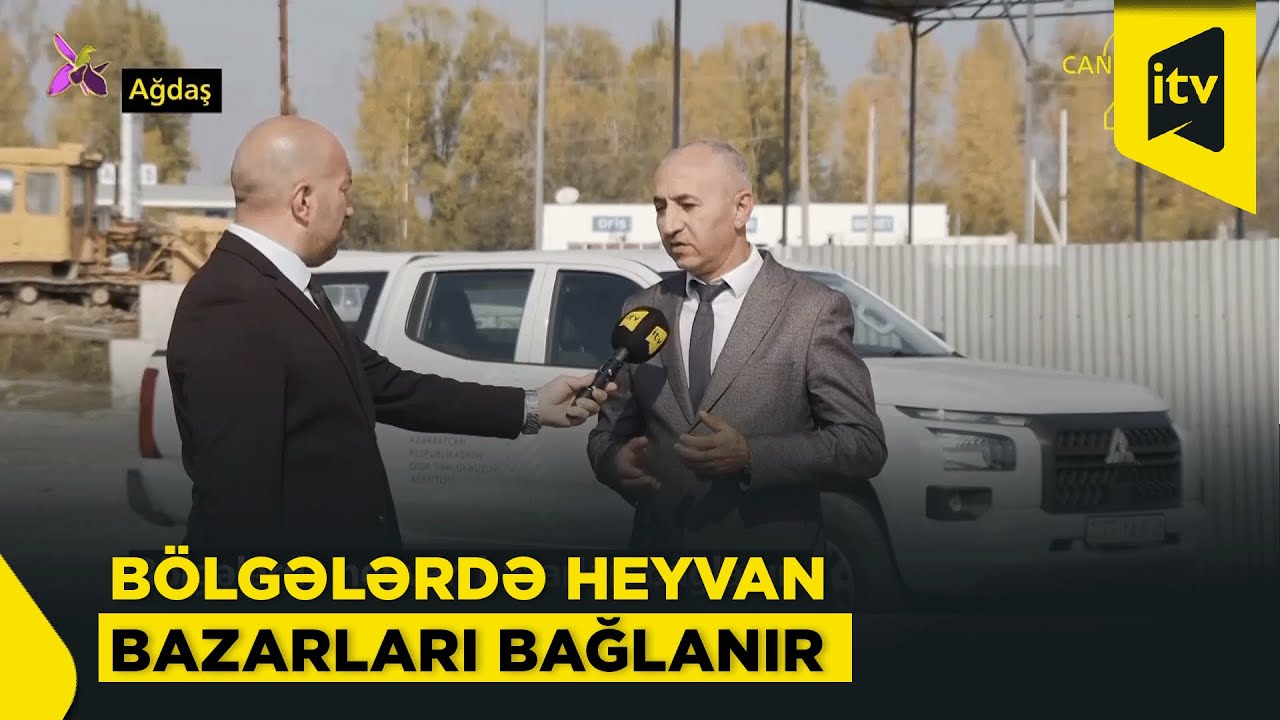 Heyvan bazarları bu tarixdən müvəqqəti bağlanır - YouTube