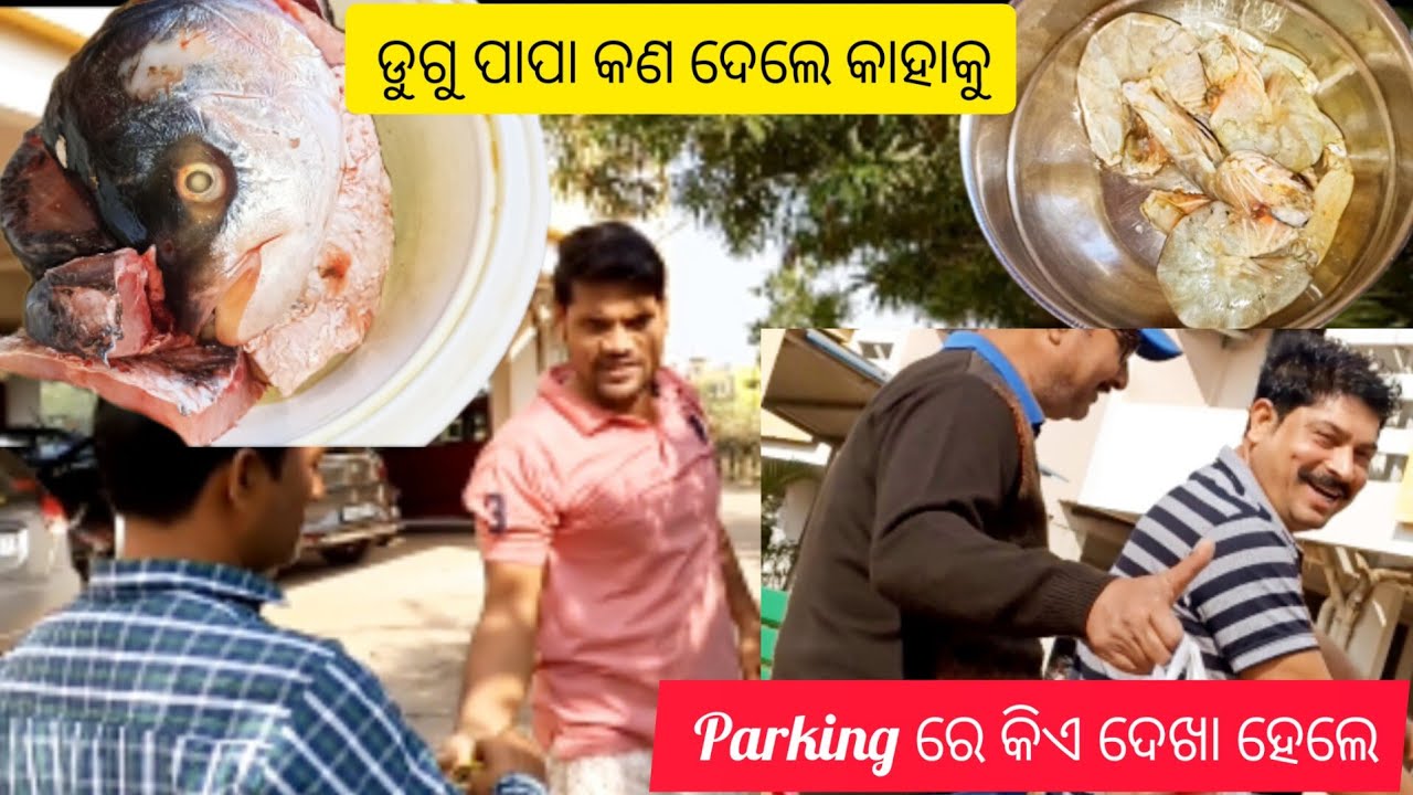 Today vloge.. parking re kie Dekha hele..... daily vlog.. - YouTube