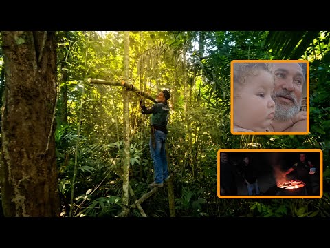 A simplicidade da vida da ROÇA,isso aqui é minha maior riqueza. E pensar que tudo isso tá acabando. 