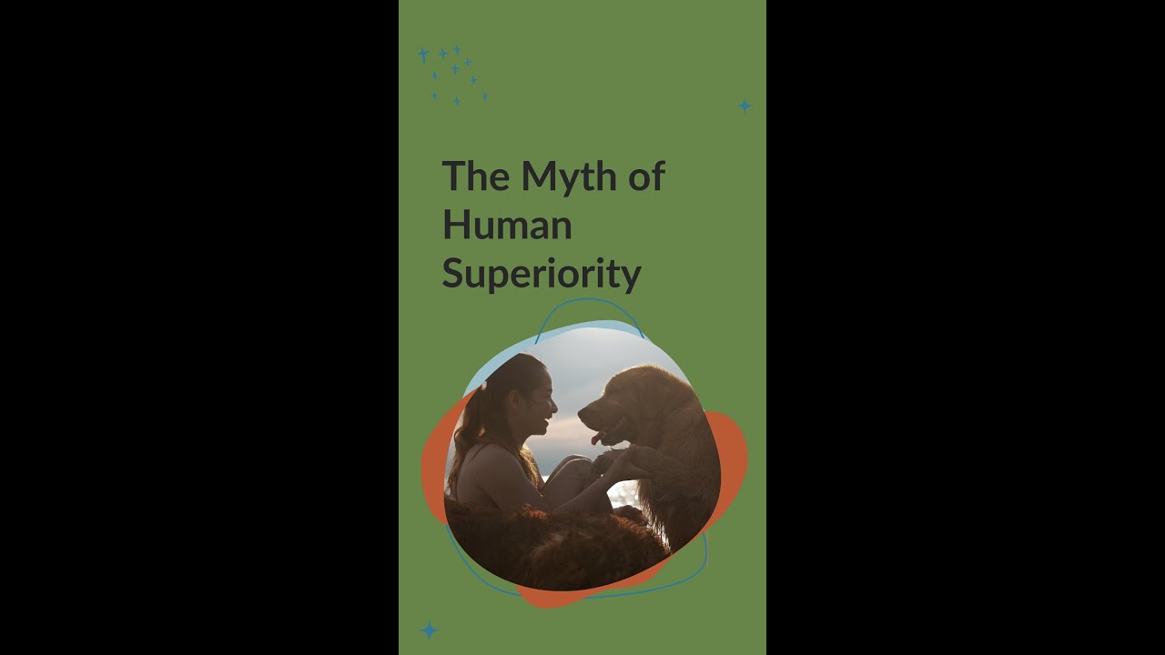 The Myth of Human Superiority - YouTube