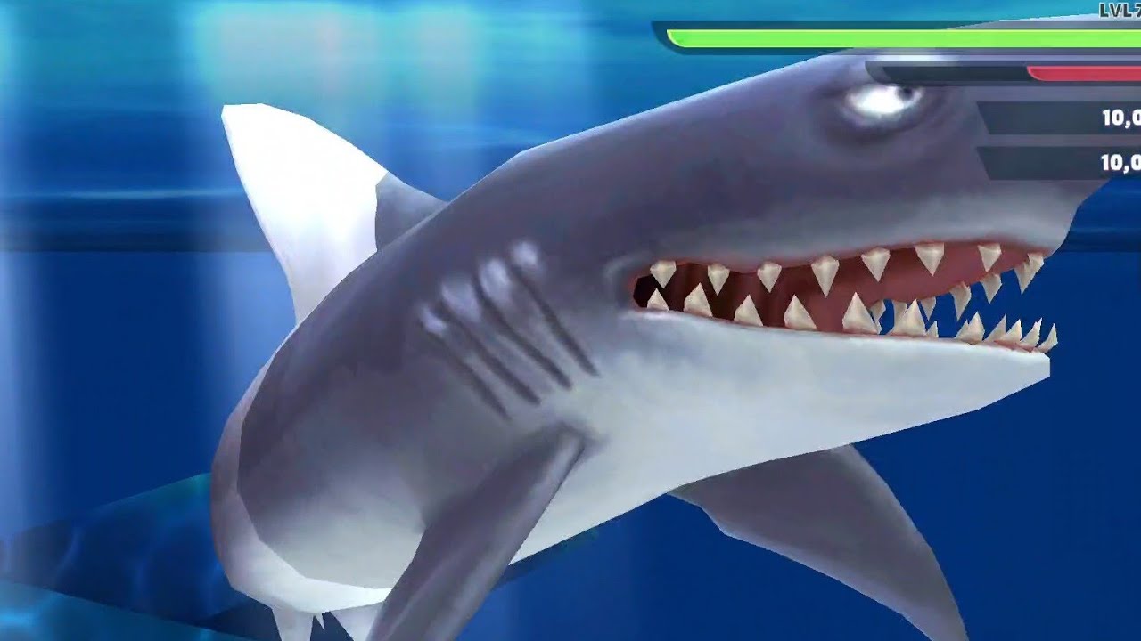 Giant Mako Shark Unlocked | New Shark Coming Soon? | Hungry Shark ...