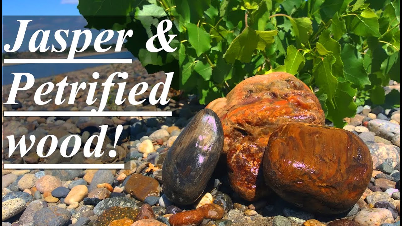 TWO Hunts BACK to BACK! Rockhounding the Yellowstone River! - YouTube